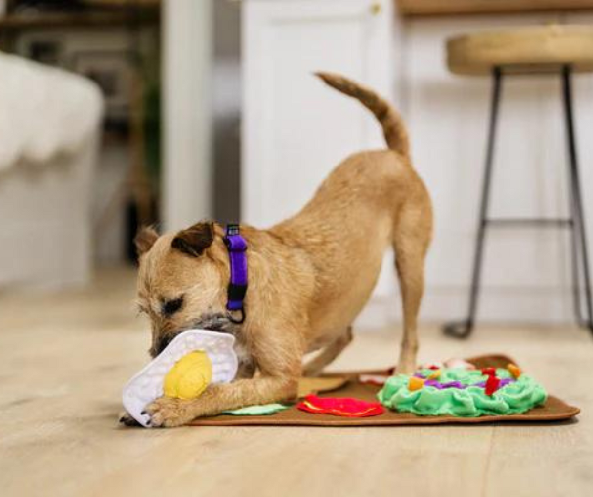 P.L.A.Y. Savory Sunrise Snuffle Mat| Beavers Pet Products