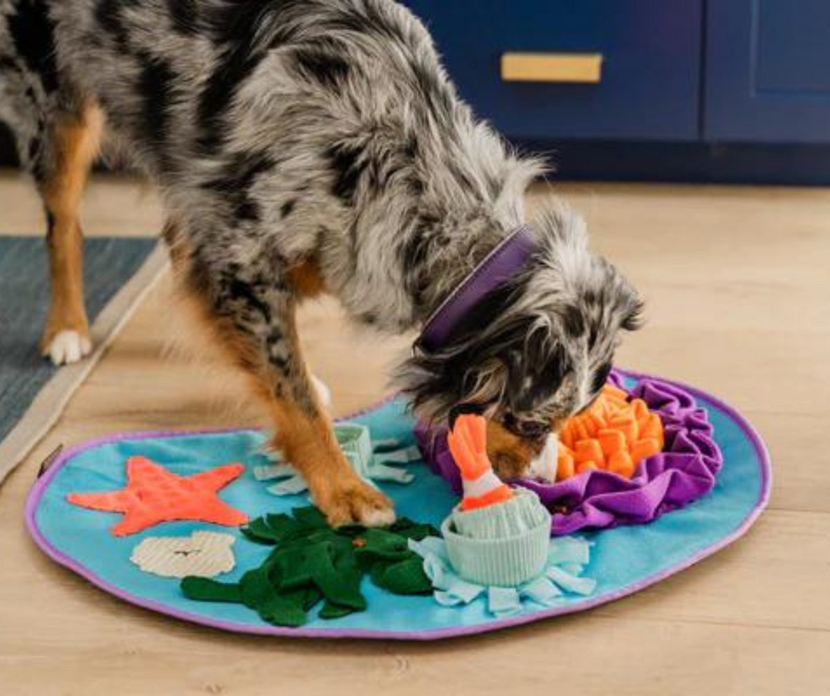 P.L.A.Y. Coral Cove Snuffle Mat| Beavers Pet Products